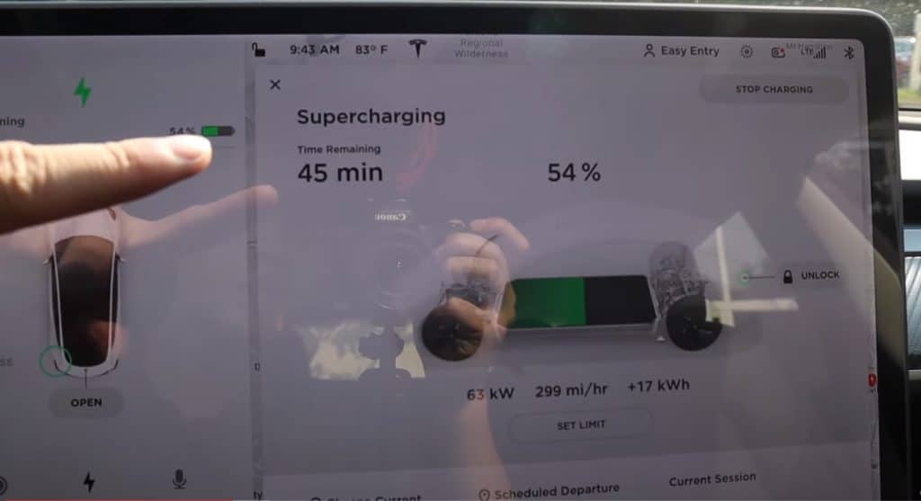 Why Do Tesla Owners Tap The Tail Light